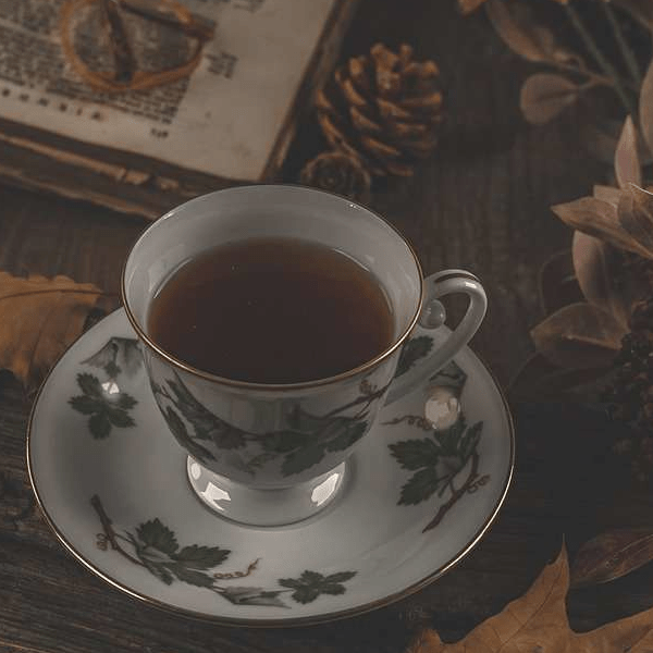 Essentially CJ - Journal